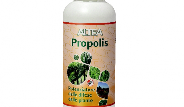 Propolis Fitostimolante naturale | Altea Litri 1